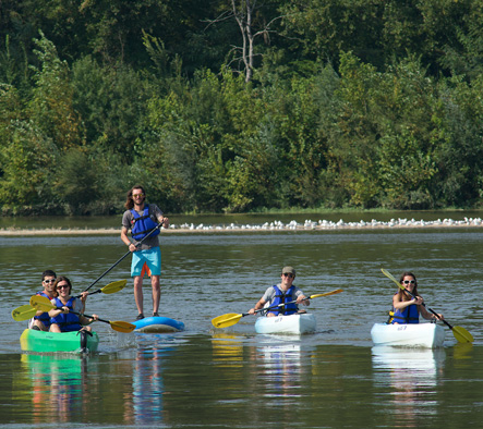 Afternoon - Trips - Loire Kayak